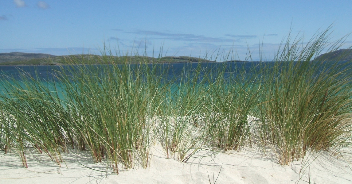 Angus MacPhee and the Land of Bent Grass | Spirit: Stories