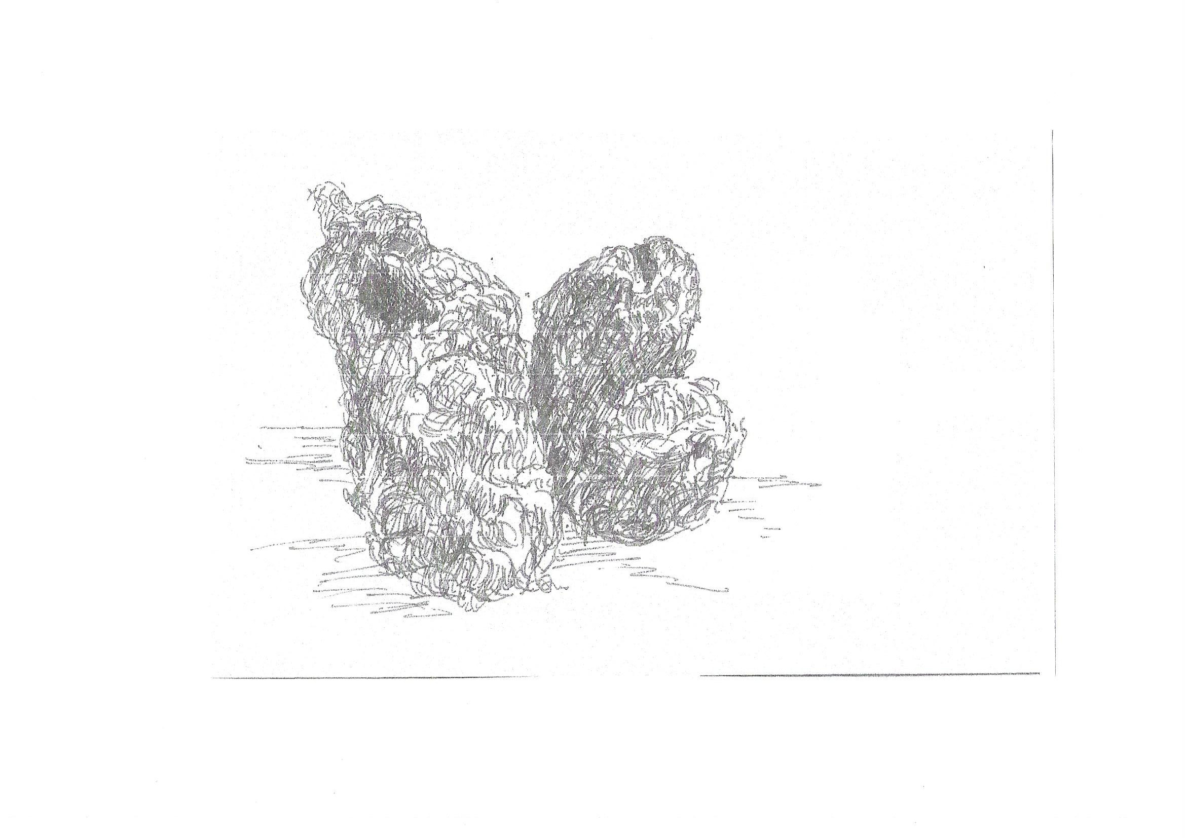 Angus MacPhee and the Land of Bent Grass | Spirit: Stories